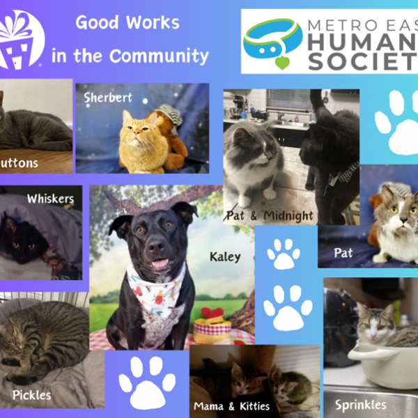 Cartoon - Welcome Wagon